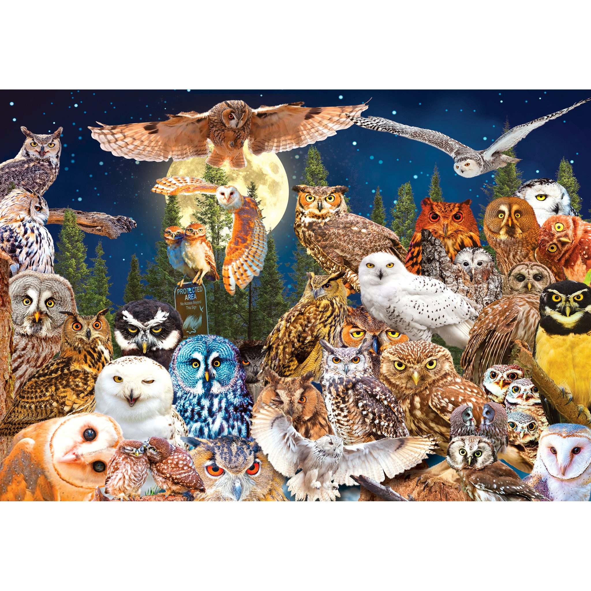 RoseArt - Kodak Premium - Night Owls - 1500 Piece Jigsaw